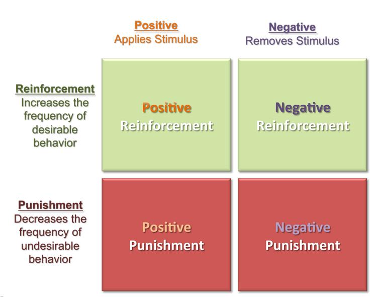 学习理论- MBA知识库 - bepaly下载